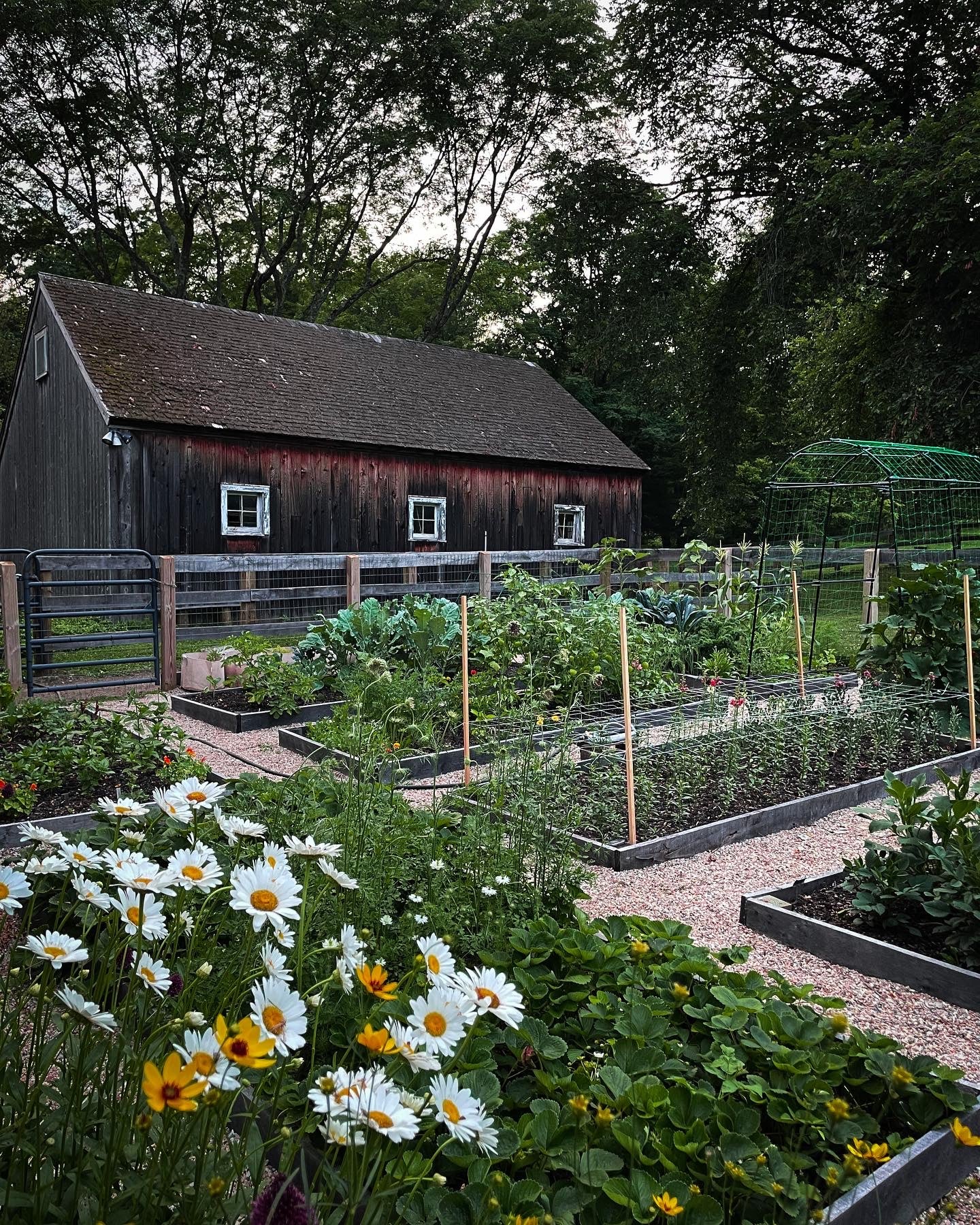 Living in Farm Bliss with Floral Designer Romane Recalde