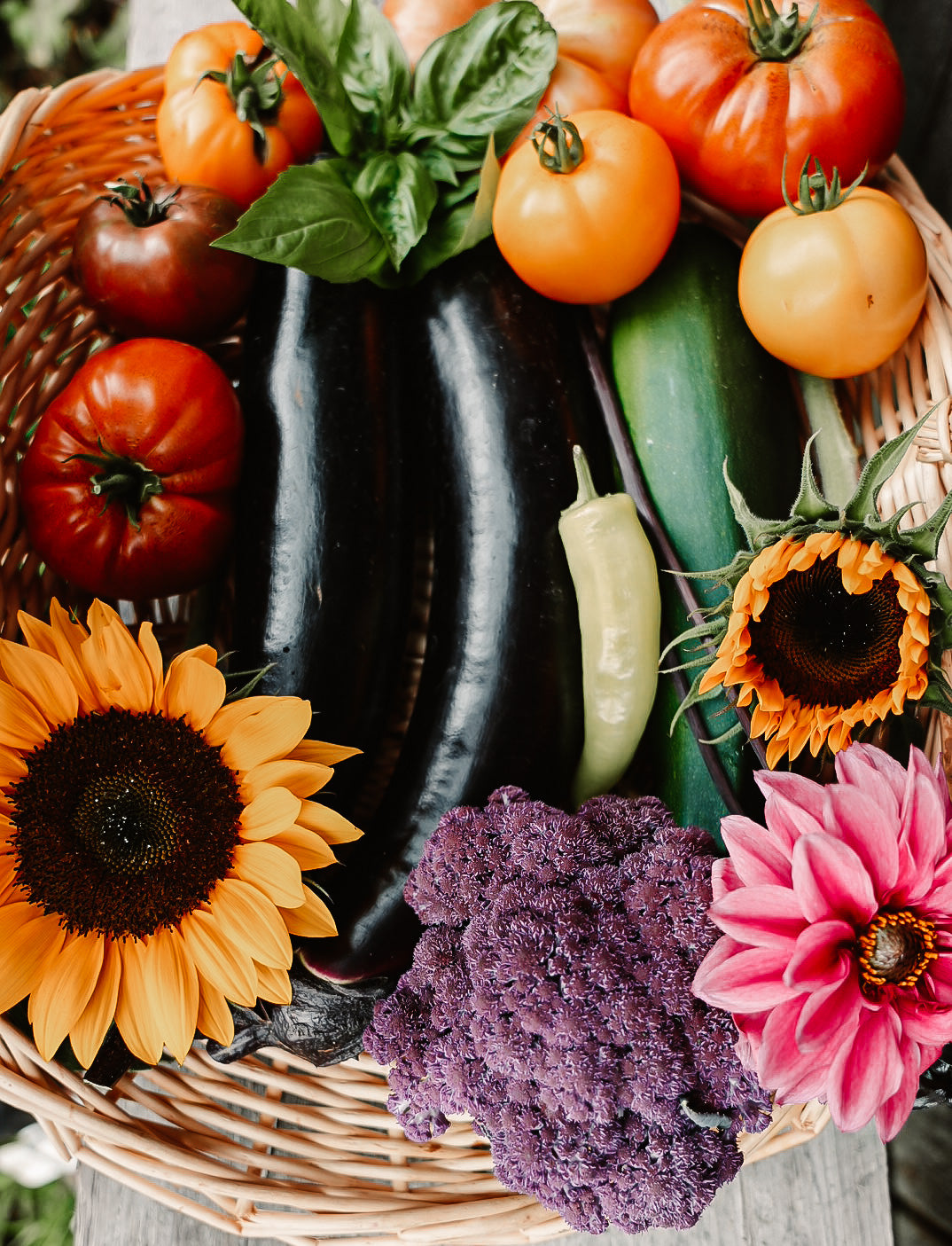 Living in Farm Bliss with Floral Designer Romane Recalde