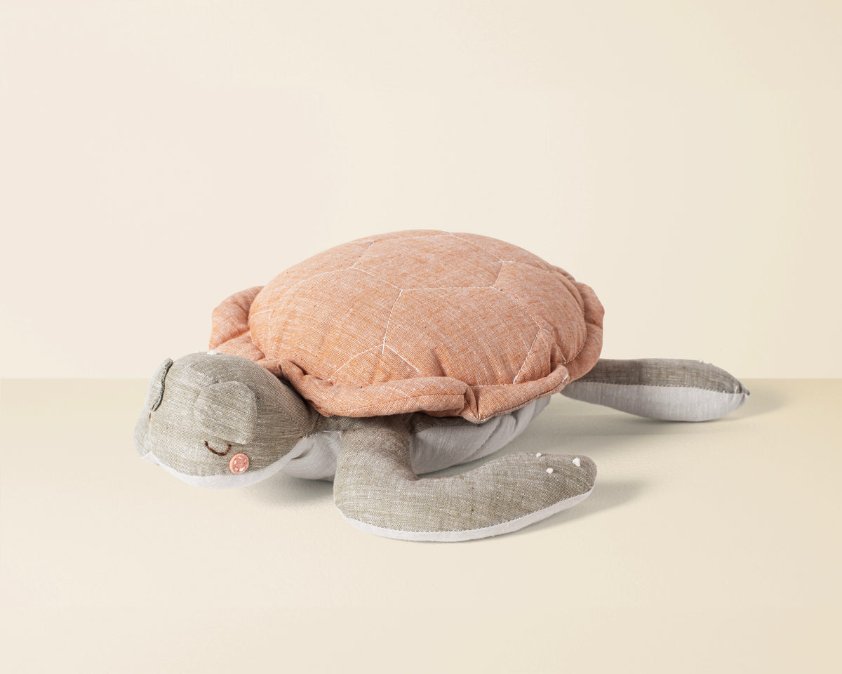 Frankie the Turtle – Nestig