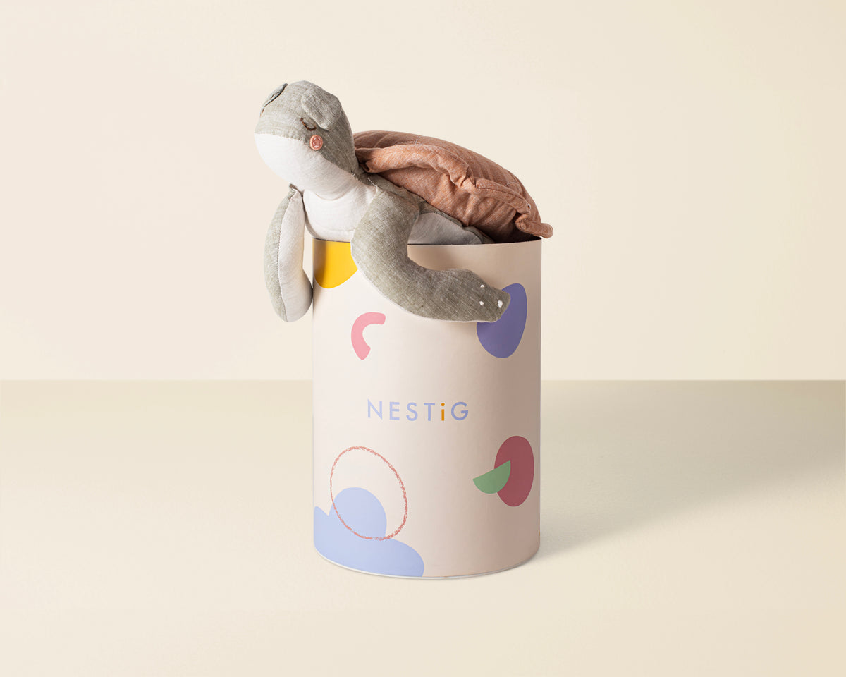 Frankie the Turtle – Nestig