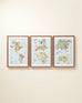 Our World Framed Wall Art Set | Nestig